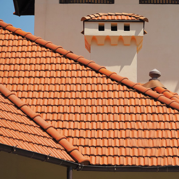 Leier Marsilia - Leier | România