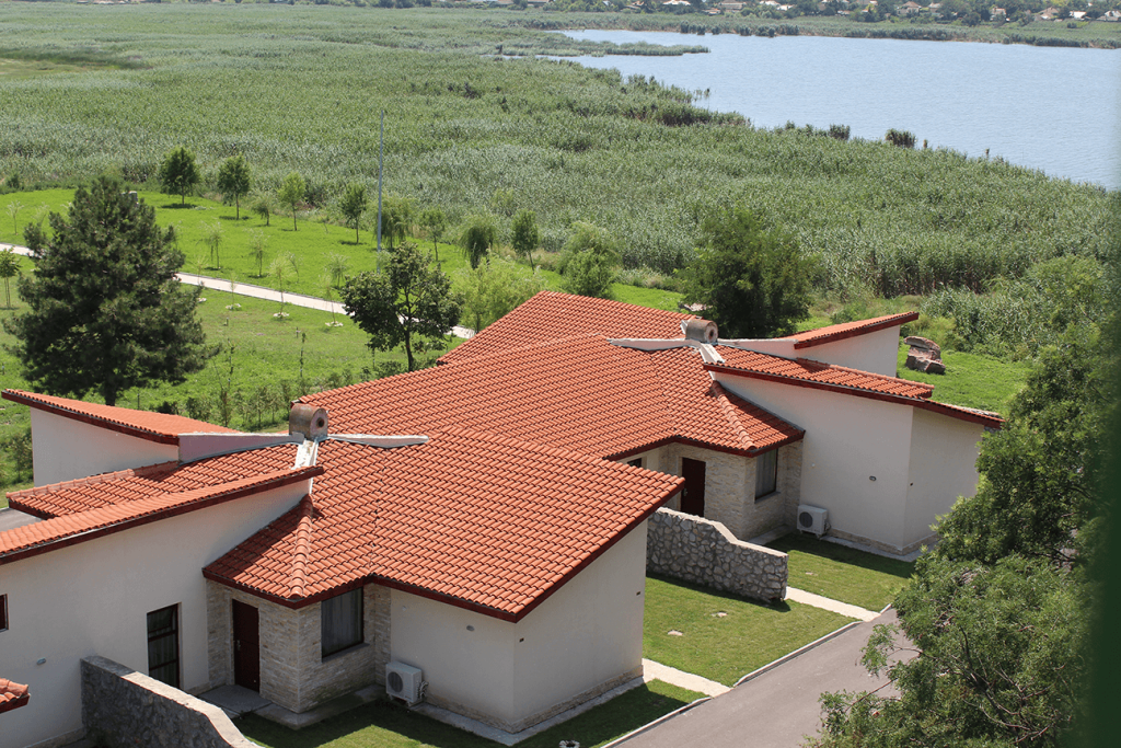 Leier Portugheza - Leier | România